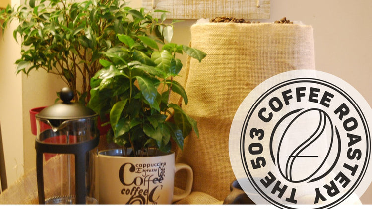The 503 Coffee Roastery – the503coffeeroastery